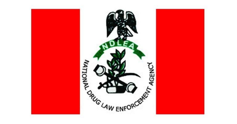 NDLEA Salary Structure 2023: How Much Does NDLEA Pay Their Staff ...