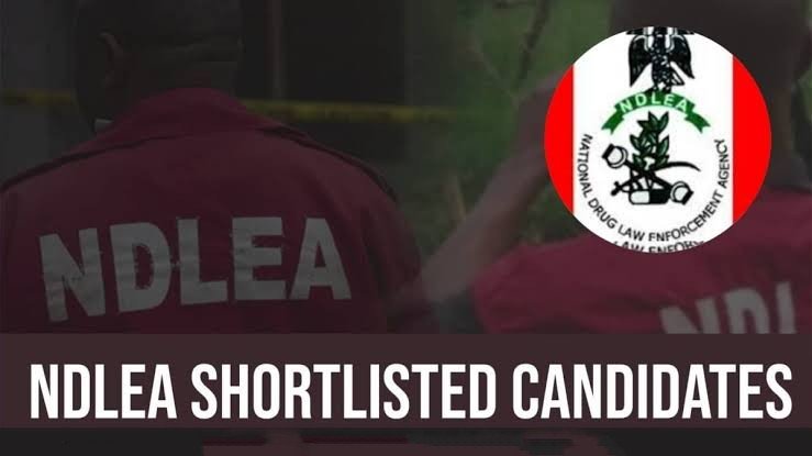 NDLEA Shortlisted Candidates 2023: How To Check And Download List PDF ... NDLEA Shortlisted Candidates 2023: How To Check And Download List PDF ...